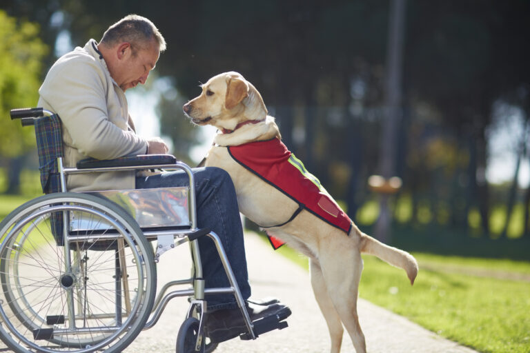 Choosing The Best Pet For A Disabled Person - Paws of Ability