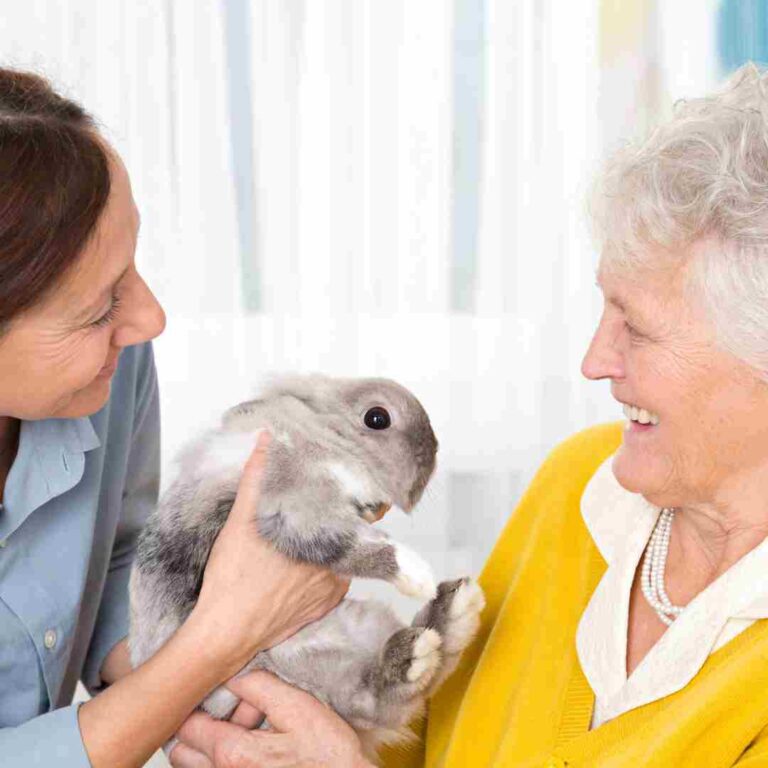 🐇 Why Rabbits Make Great Companions For Seniors - Paws of Ability
